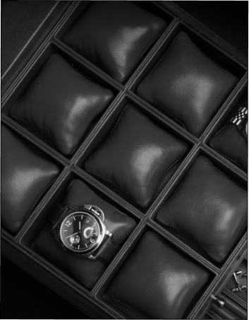 Discover Exquisite Luxury Watch Trunks | Watch Collector Essentials